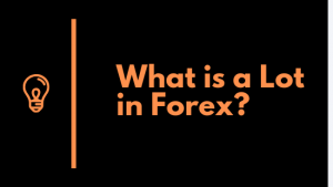 What is a 1 Lot in Forex? Explained With Awesome Examples